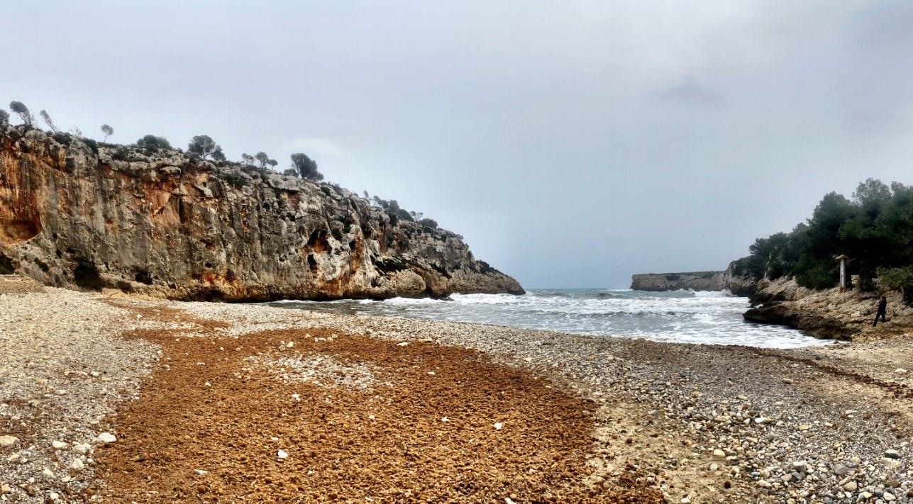 Las 25 mejores calas de Mallorca | Click-Mallorca