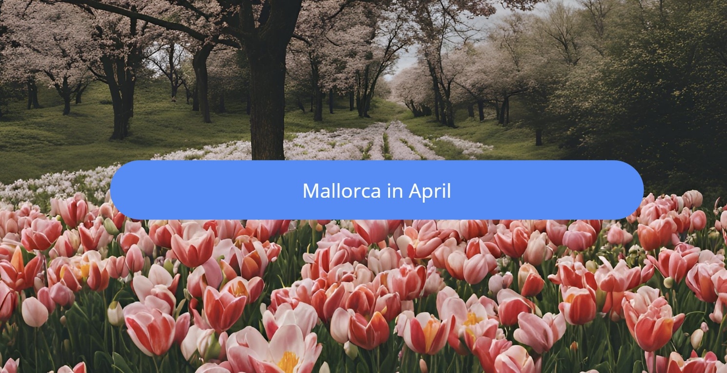 Mallorca in April: Weather, Events & Things to Do